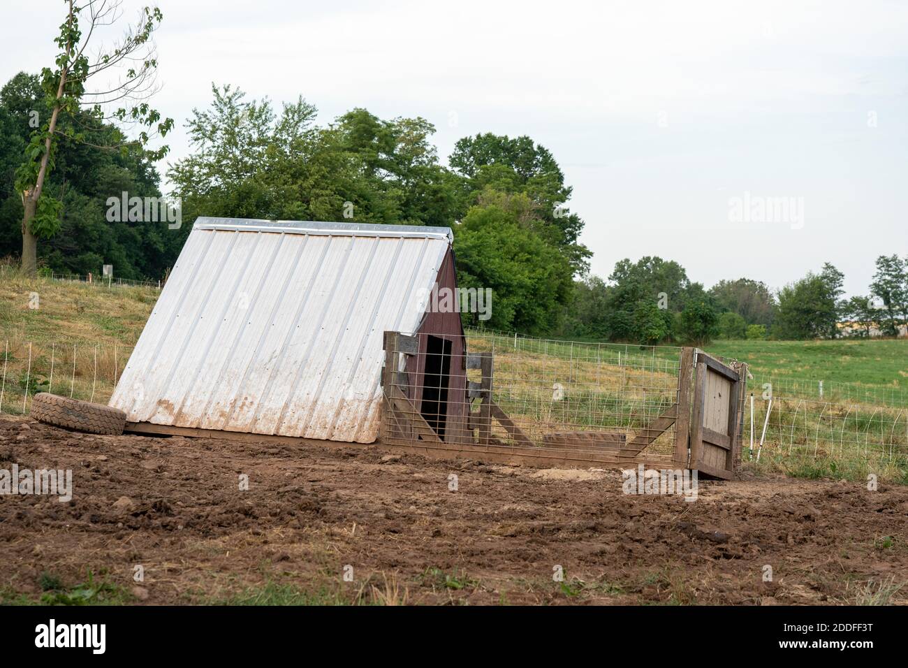 A small pig barn in the pasture in the outdoors Stock Photo - Alamy