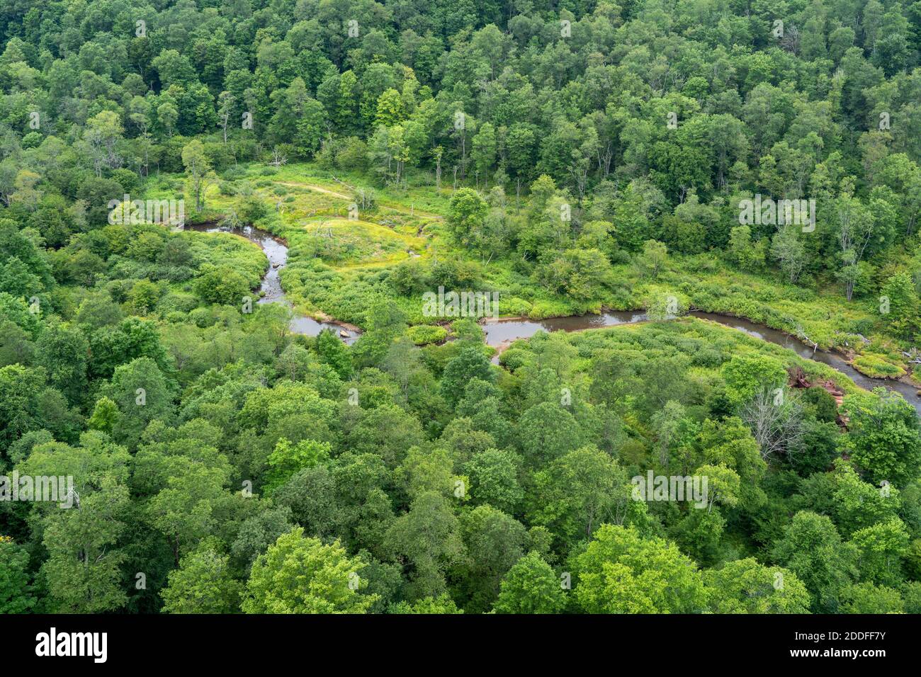 A high angle view of a stream in the wilderness Stock Photo - Alamy