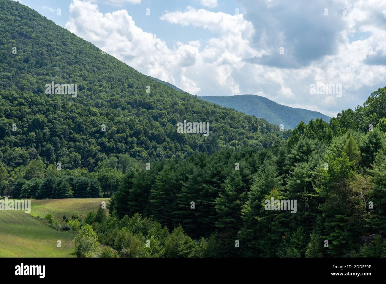 The beauty of the tree-covered hillsides under the puffy clouds in the ...