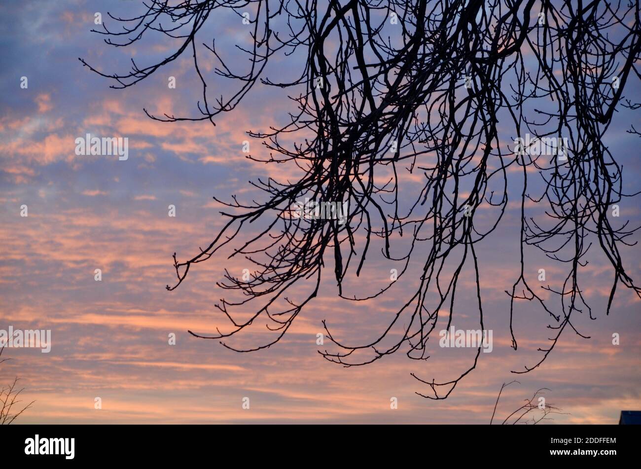 dramatic pink clouded sunset over north london england UK 25th ...