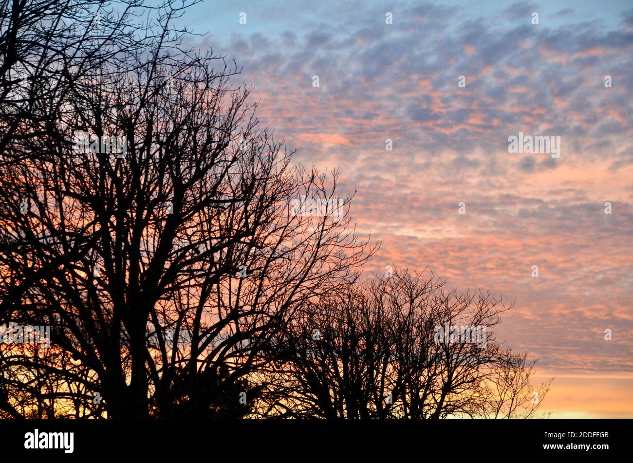 dramatic pink clouded sunset over north london england UK 25th ...