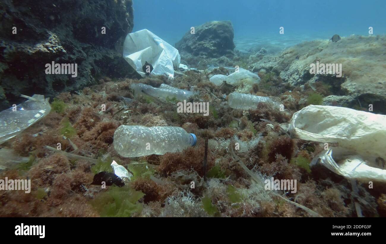 Massive plastic pollution of the ocean bottom. Seabed covered with a ...
