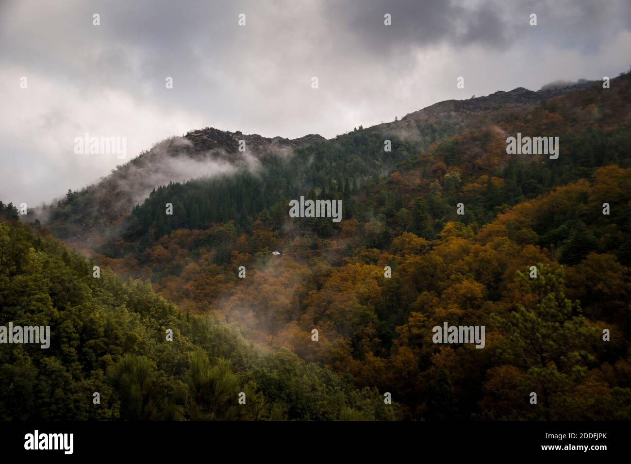 Mountain Low Vegetation High Resolution Stock Photography and Images ...