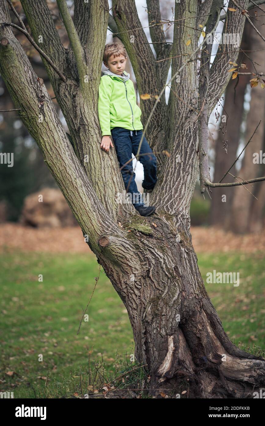 Sad boy in autumn park hi-res stock photography and images - Alamy