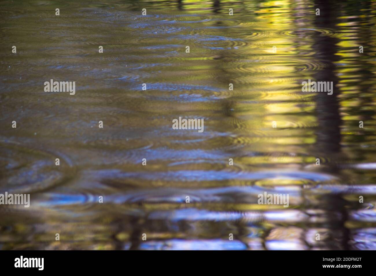 Water ripples rain patterns hi-res stock photography and images - Alamy