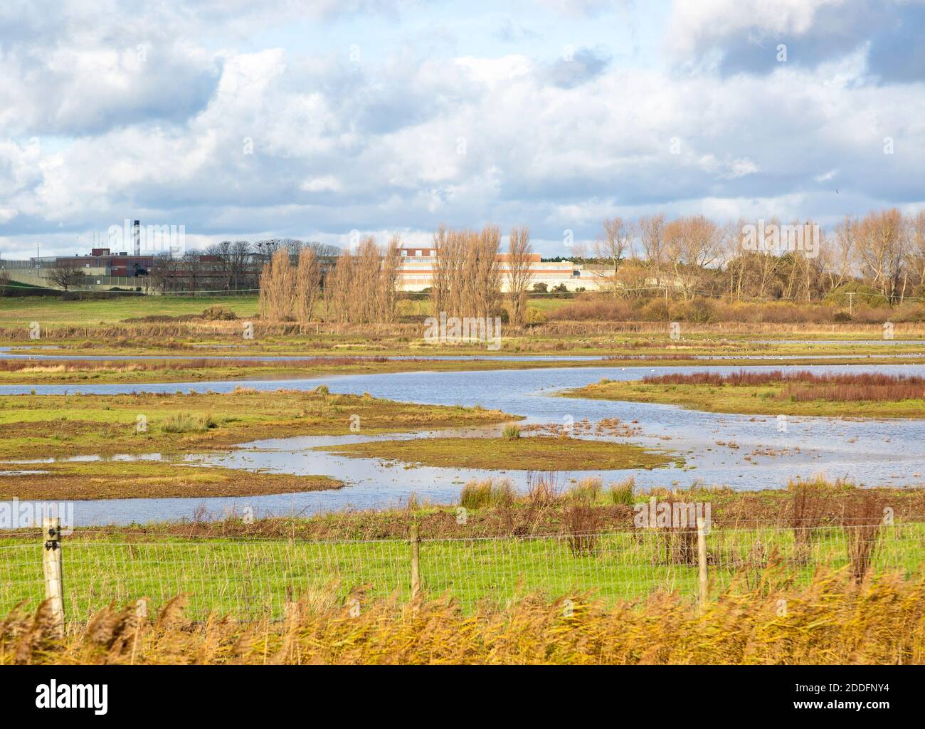 Hollesely suffolk england hi-res stock photography and images - Alamy