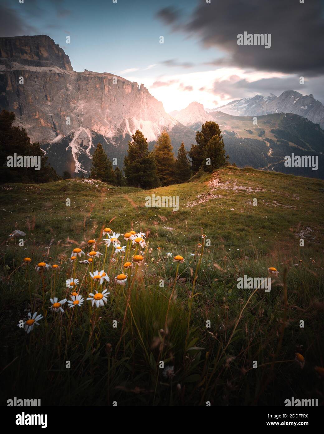 Bianchi mountain hi-res stock photography and images - Alamy