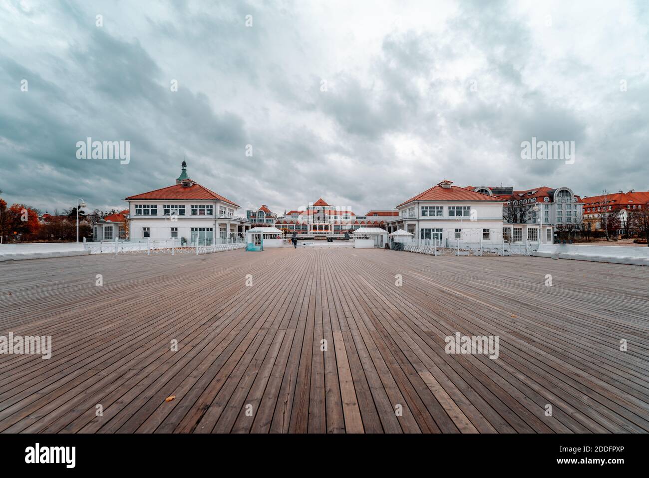 forest road view from the drone Stock Photo - Alamy