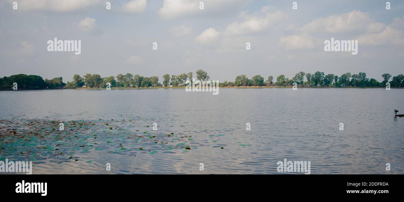 Sibsagar Lake, Admire the Lovely Architecture in Sibsagar. lotus leaf ...