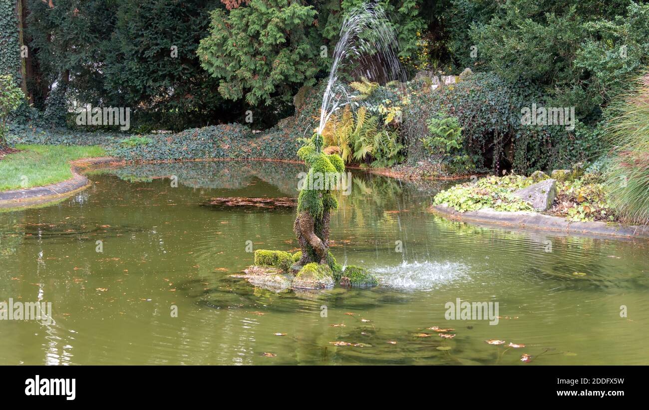 Overgrown fountain hi-res stock photography and images - Alamy