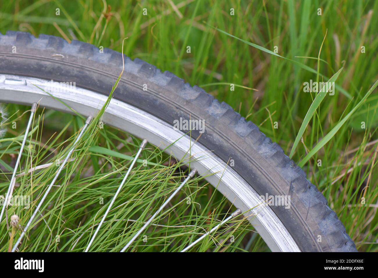 Daisy wheel hi-res stock photography and images - Alamy