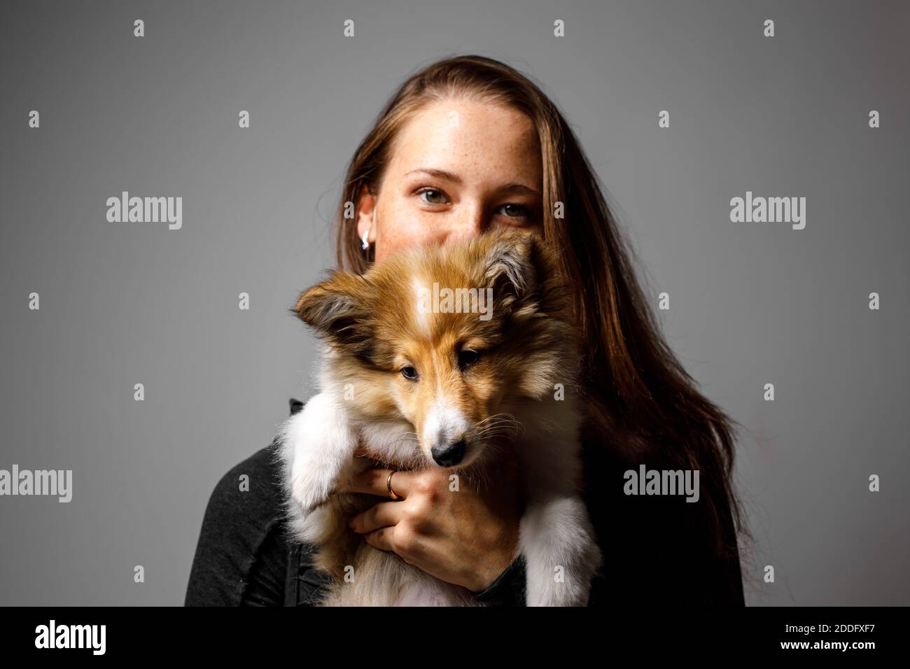 Sheltie and human hi-res stock photography and images - Alamy