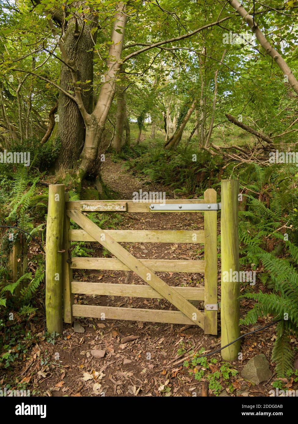A gate in a woodland near Withy Combe at Culbone in the Exmoor National ...