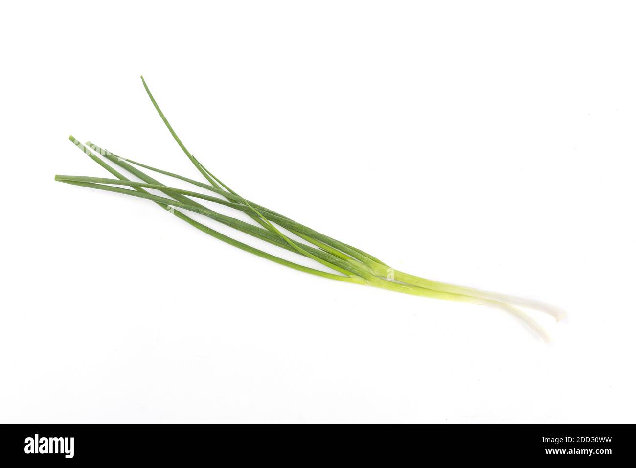 The green scallions isolated on a white background Stock Photo - Alamy