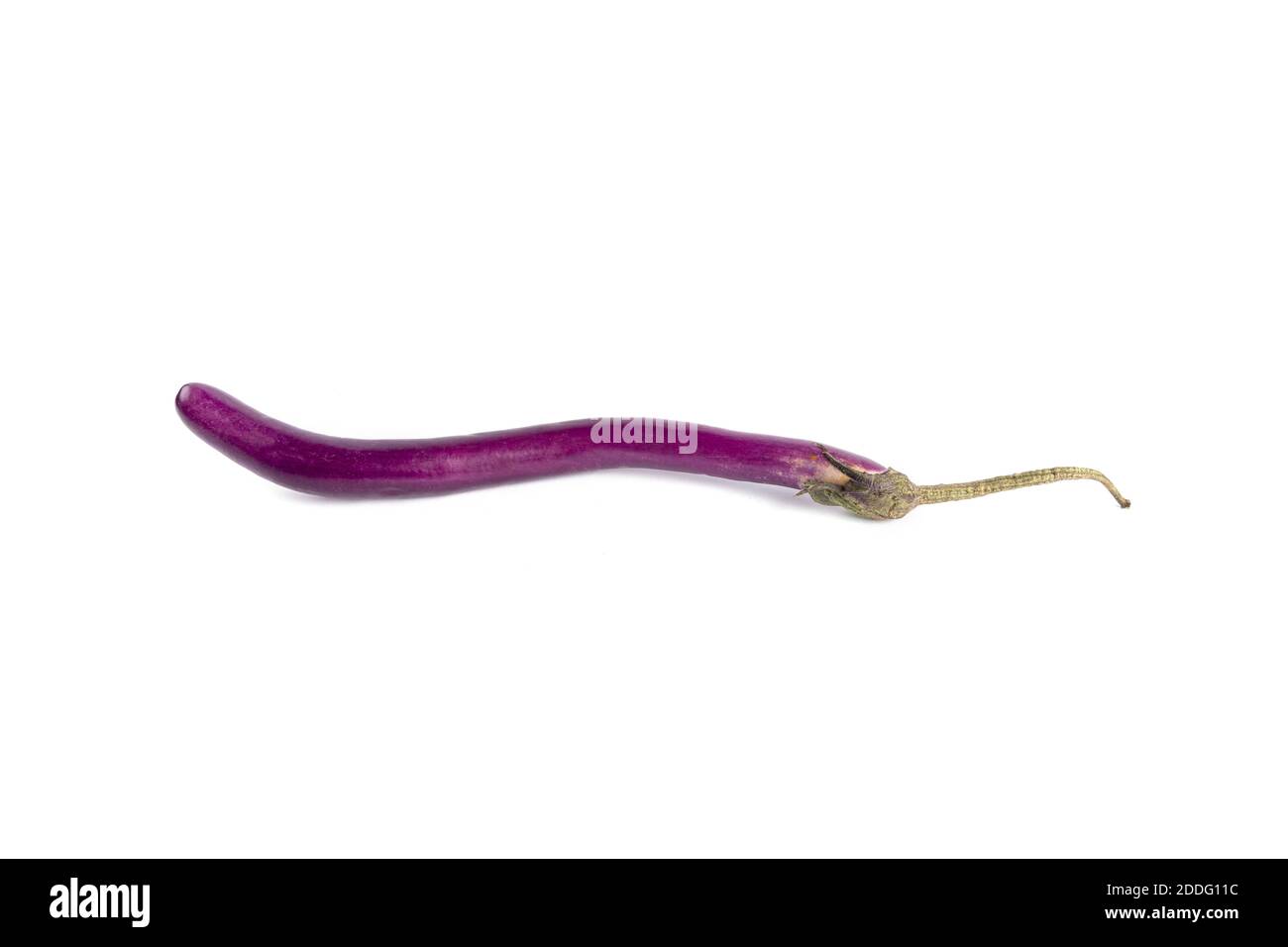 A very thin and long eggplant isolated on a white background Stock ...