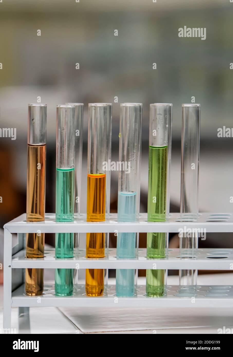 Image of test tubes with colorful solutions are placed in a rack in a ...
