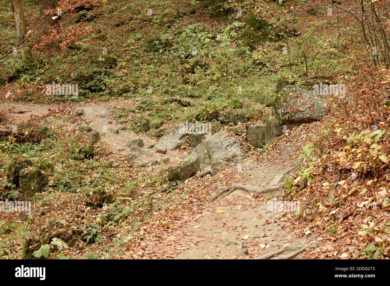 Natural earth color hi-res stock photography and images - Alamy