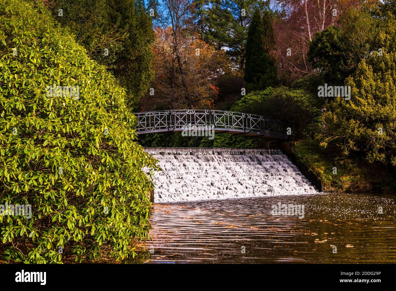 The Cascade Bridge at Sheffield Park, Sussex, UK Stock Photo - Alamy