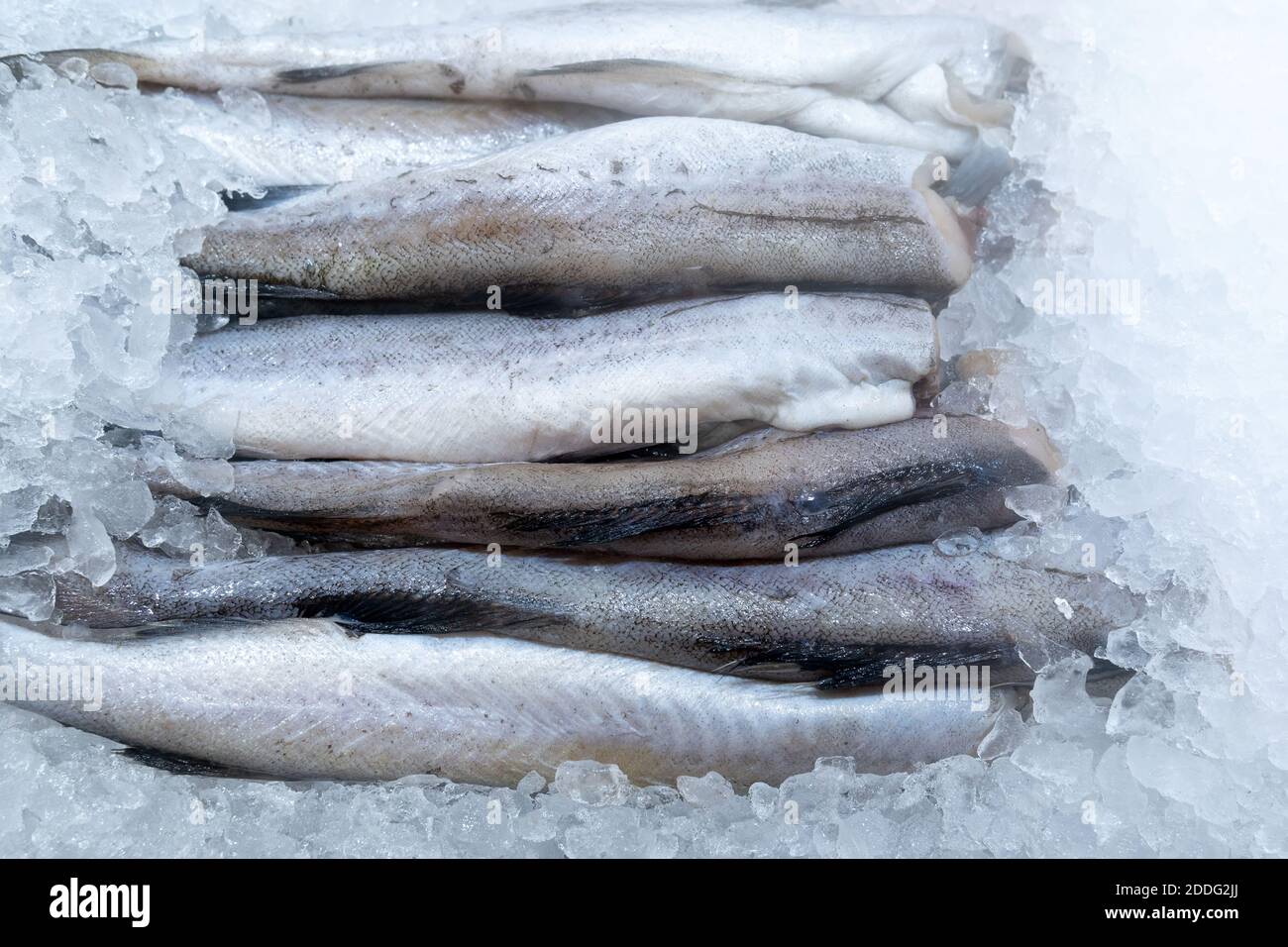 Fresh fish counter in the market. Beautifully laid out on ice fresh ...