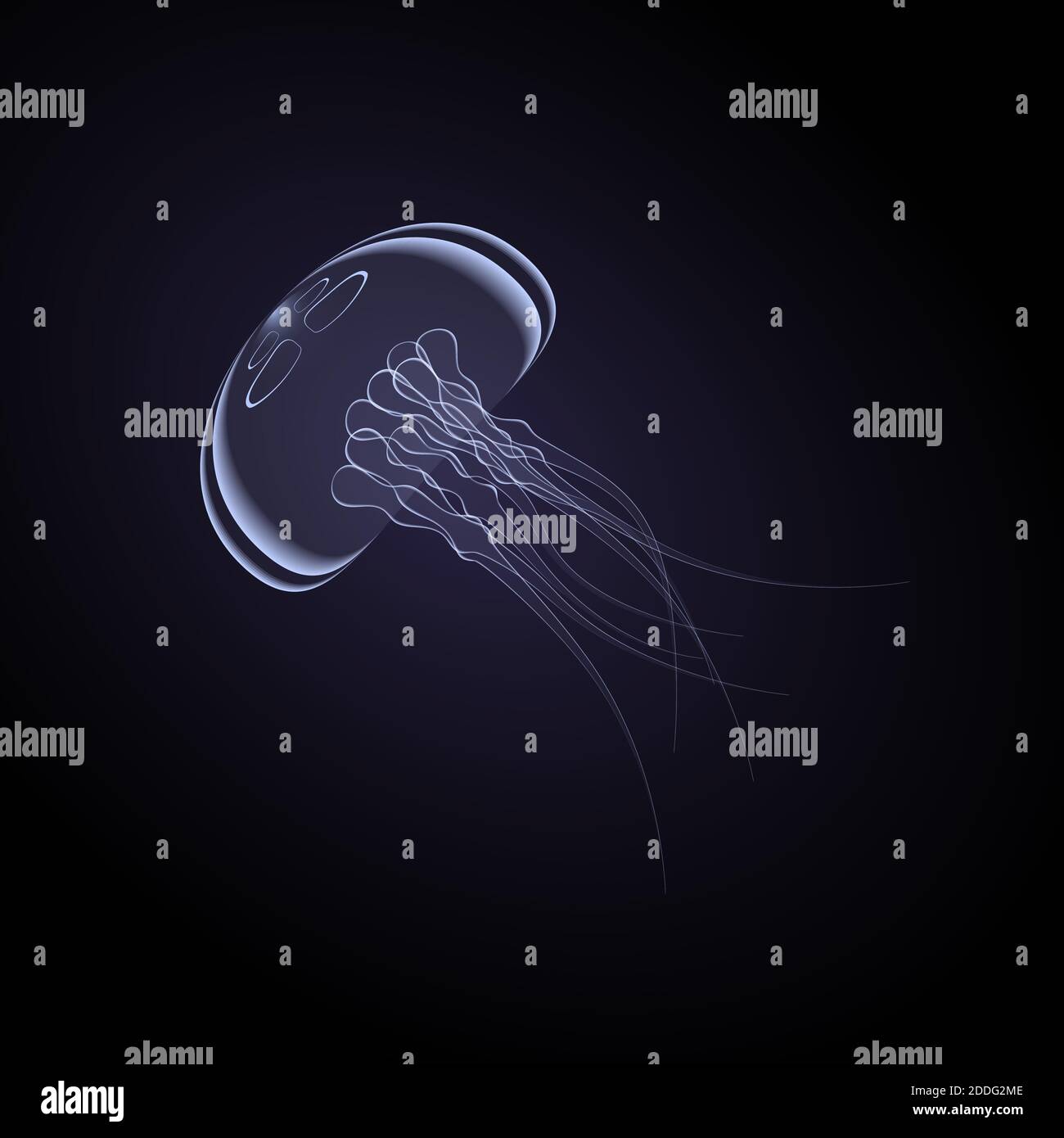 Blue fish sealife sketch Stock Vector Images - Alamy