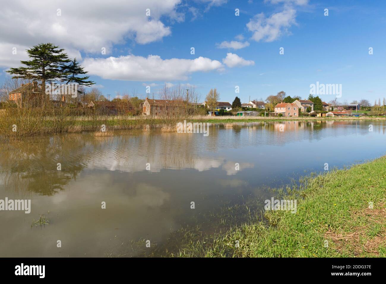 A very high water level in the River Parrett a few days after it burst ...
