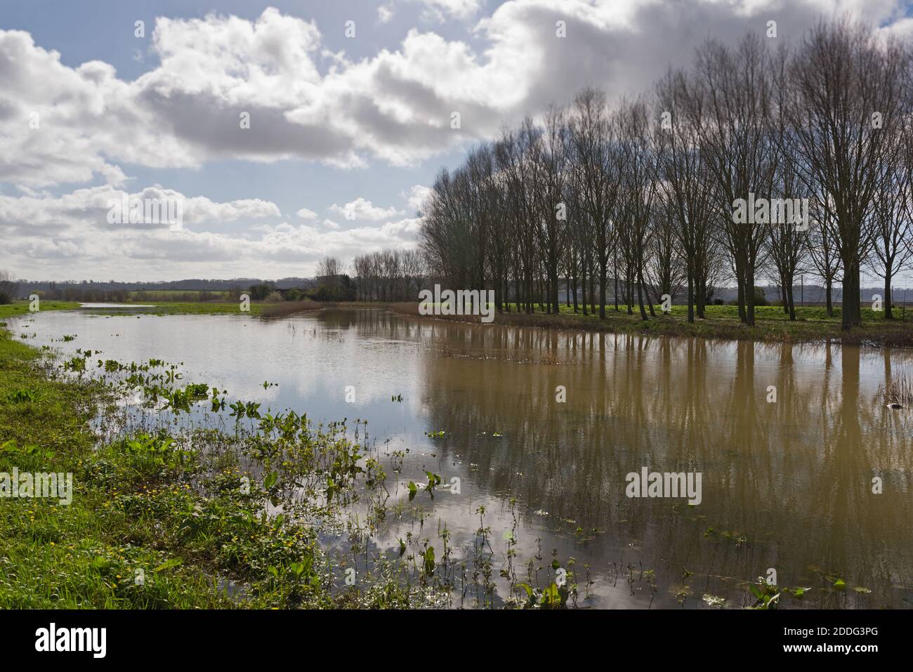 A very high water level in the River Parrett a few days after it burst ...