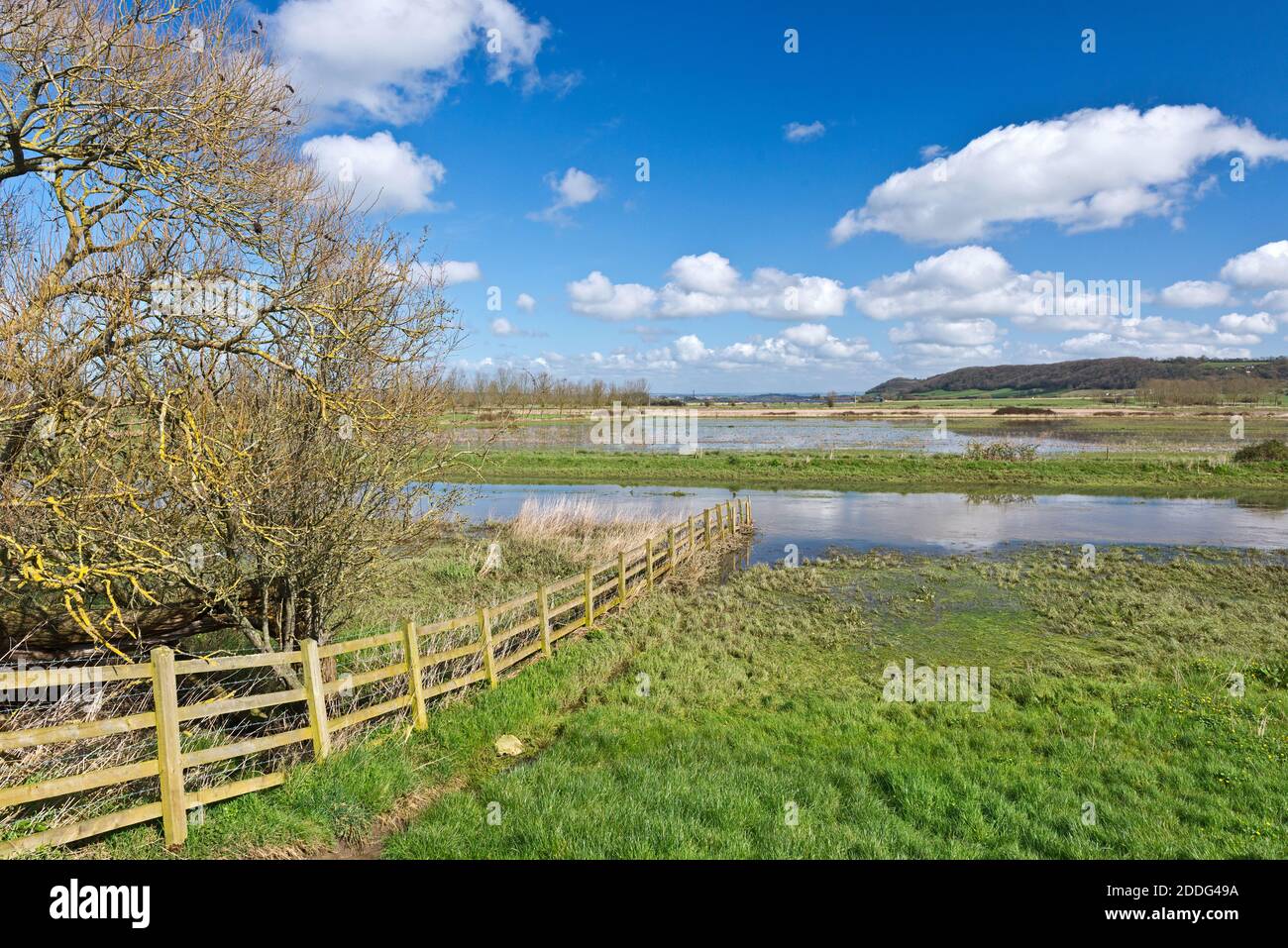 Sowey River flood relief channel overflowing its banks onto Aller Moor ...