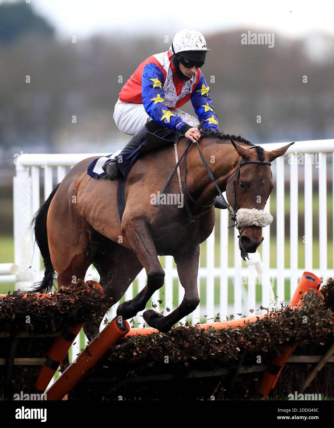 Harry Reed High Resolution Stock Photography and Images - Alamy