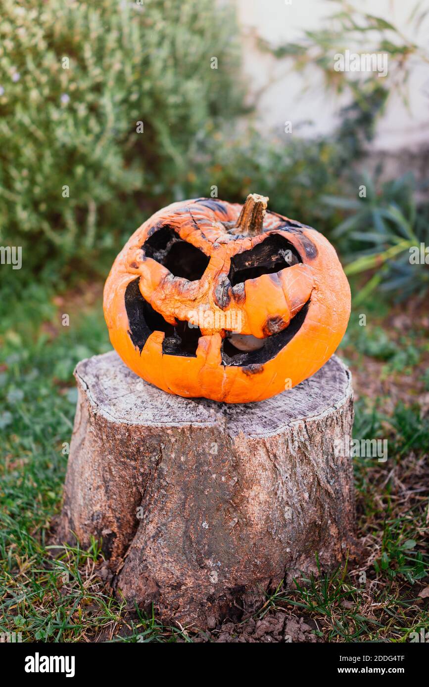 Moldy pumpkin end halloween hi-res stock photography and images - Alamy