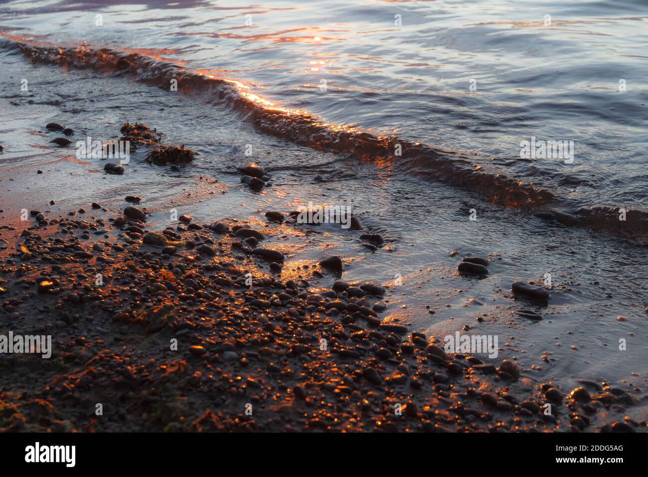 Pebble beach close-up with surfing sea in a sunset light. Stones of ...