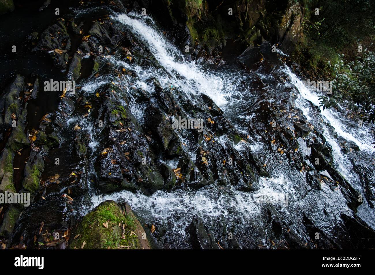 Beautiful Elephant Falls, the Three steps water falls, in Shillong ...