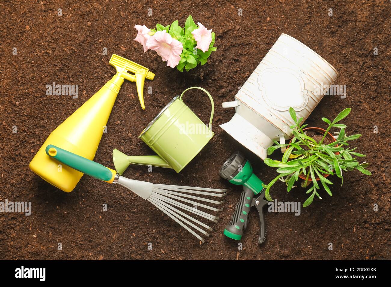 Supplies for gardening with plants on soil Stock Photo - Alamy