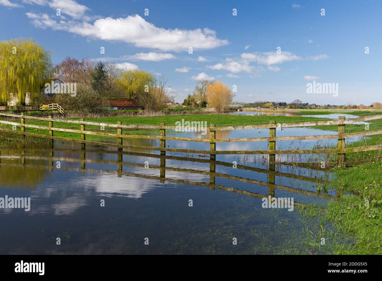 Laying on fencing hi-res stock photography and images - Alamy