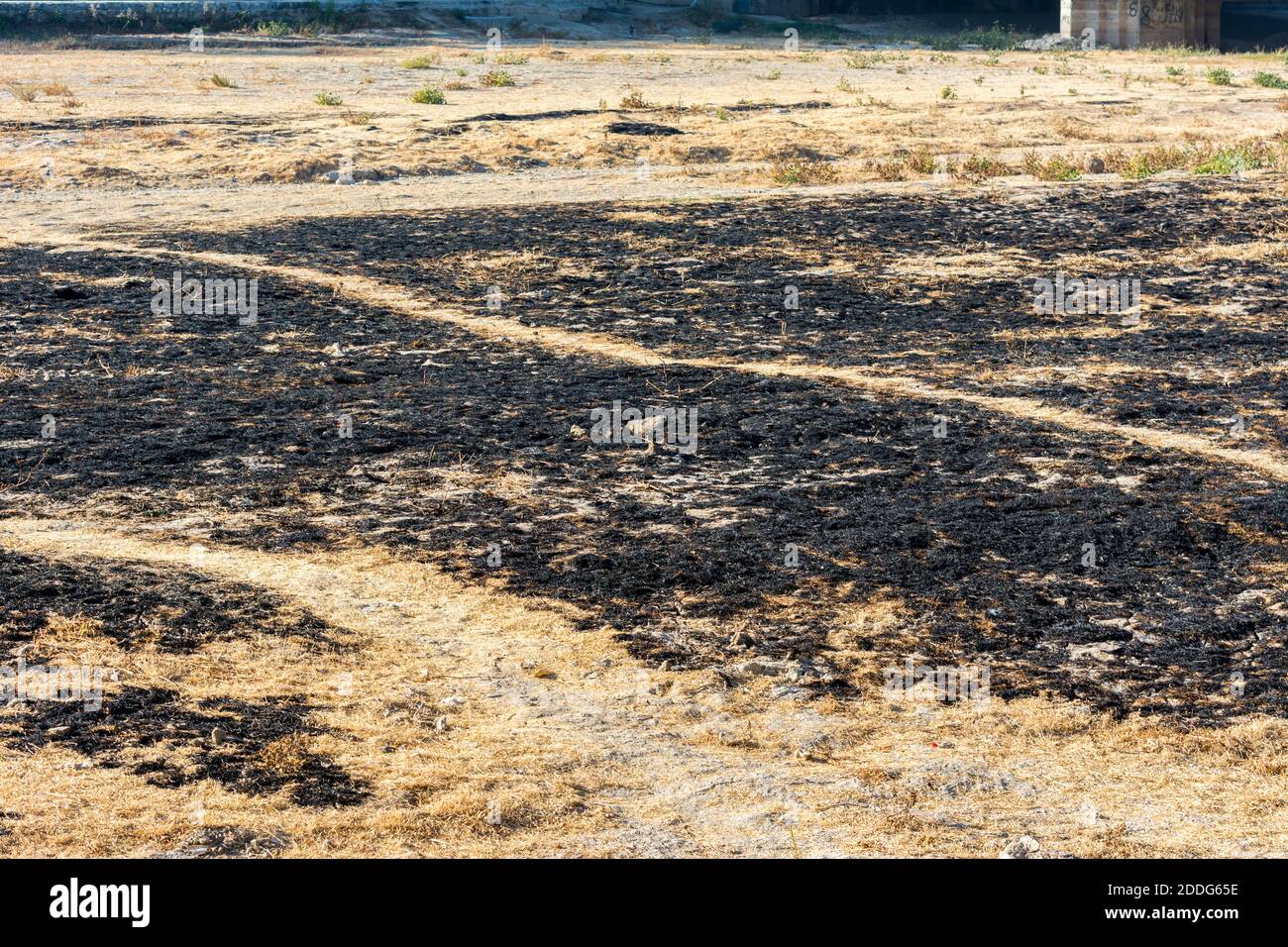 Burned weeds on the drought Zayandeh River or Zayandeh-Rood or ...