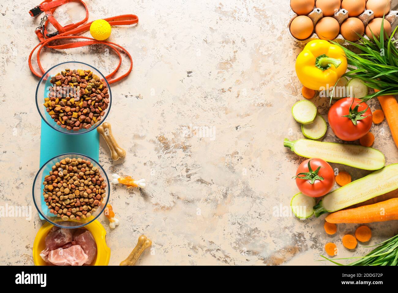 Dry and fresh pet food on light background Stock Photo - Alamy
