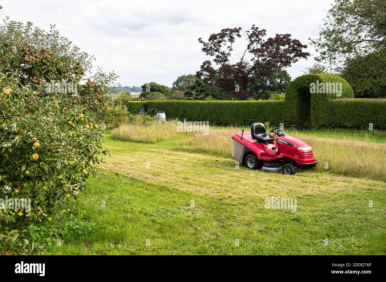 Grass cutting machine hi-res stock photography and images - Alamy