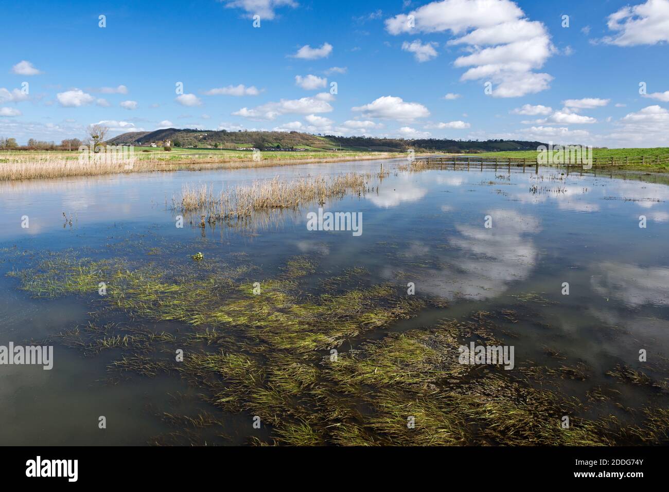 Sowey River flood relief channel overflowing its banks onto Aller Moor ...