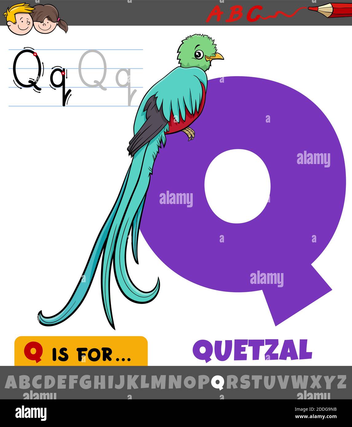 Educational cartoon illustration of letter Q from alphabet with quetzal ...