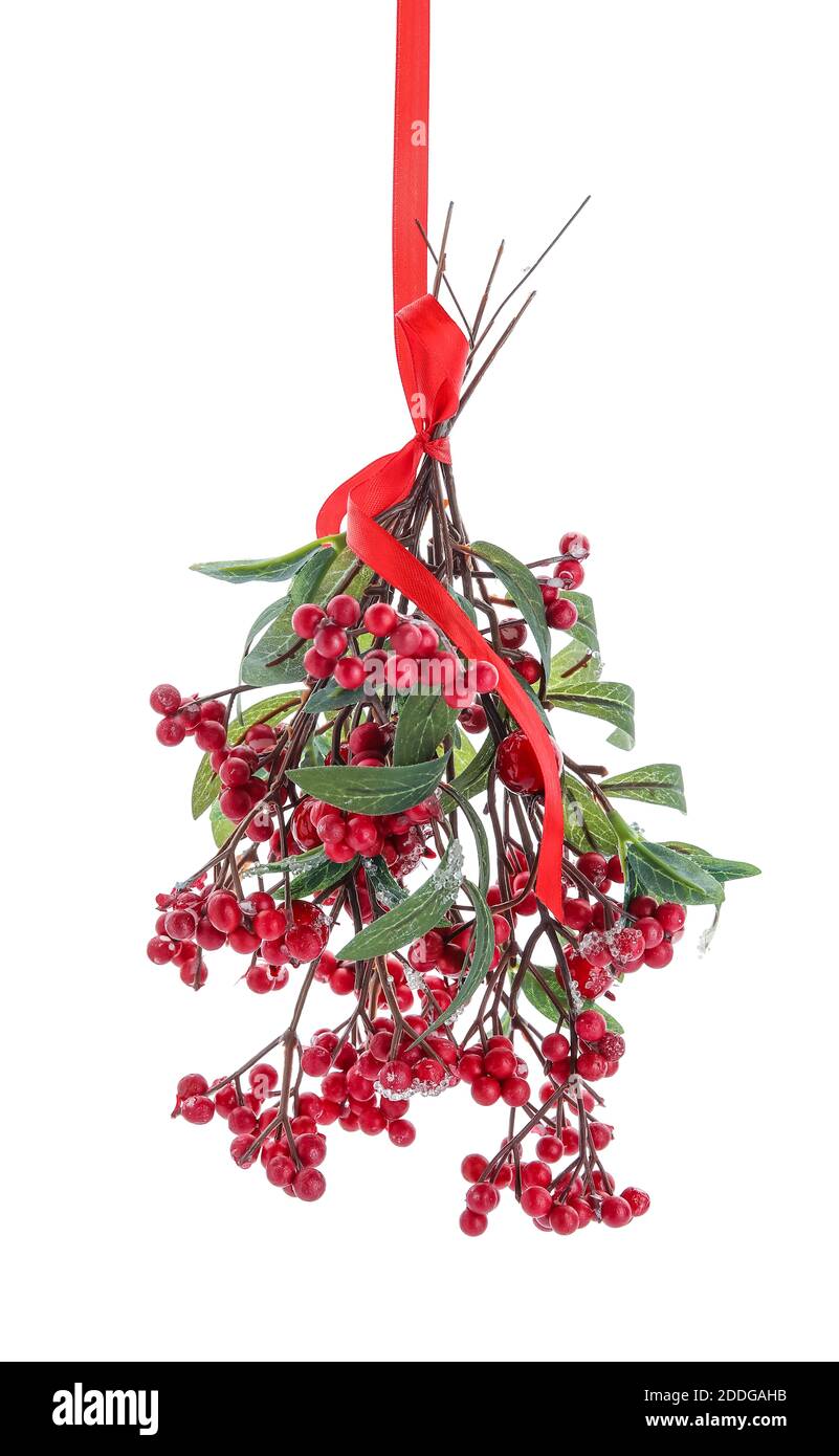 Hanging Mistletoe Png
