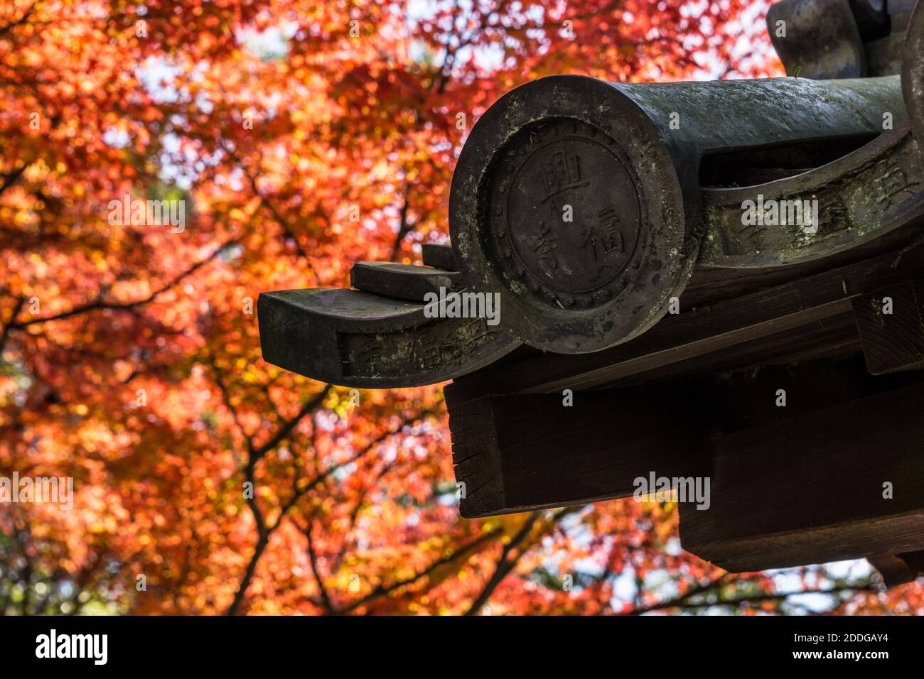Autumn leaves in Nara, Japan behind a pan tile Japanese roof Stock ...