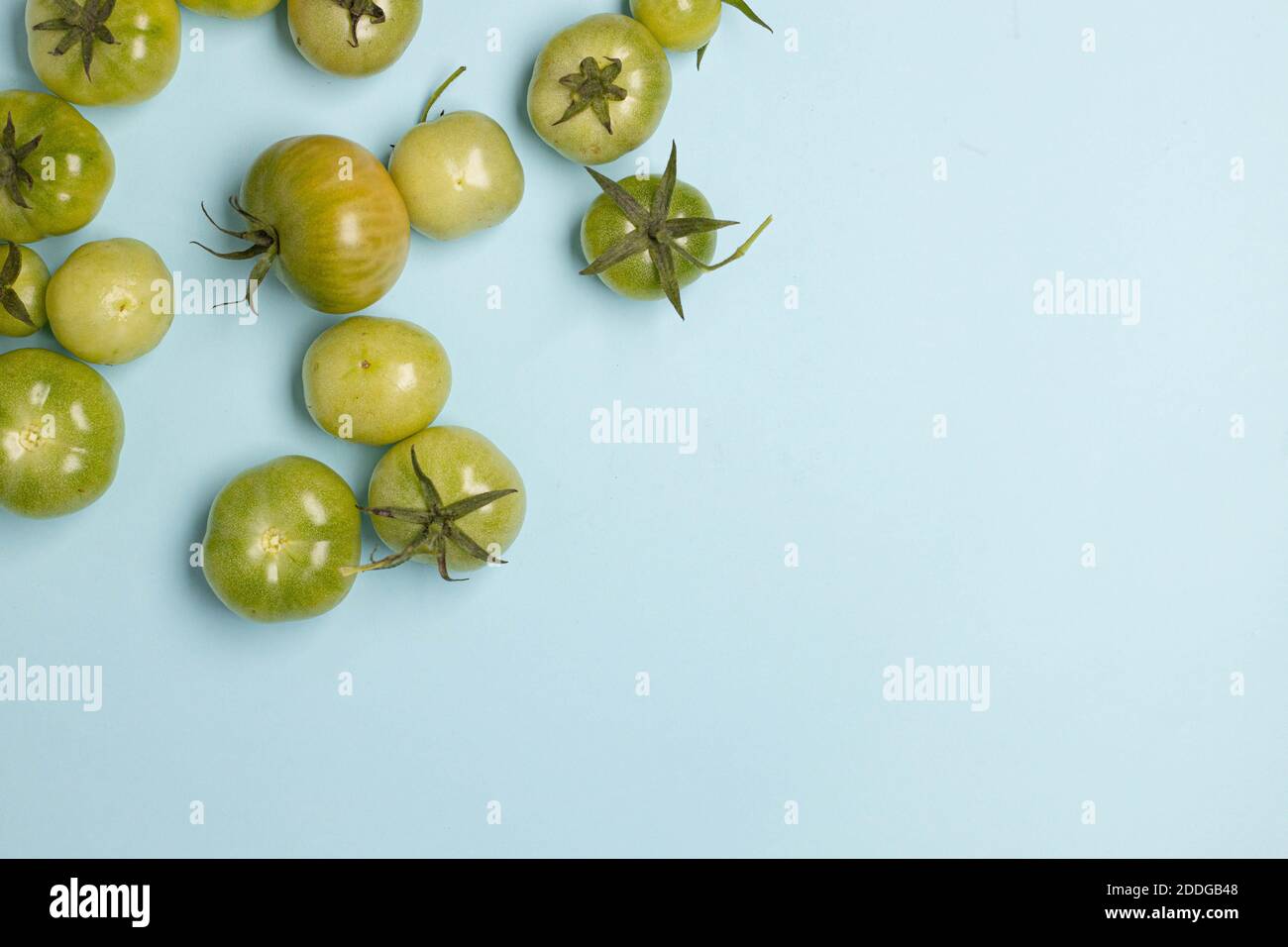 Fresh green tomatoes of different sizes heap isolated on a blue ...