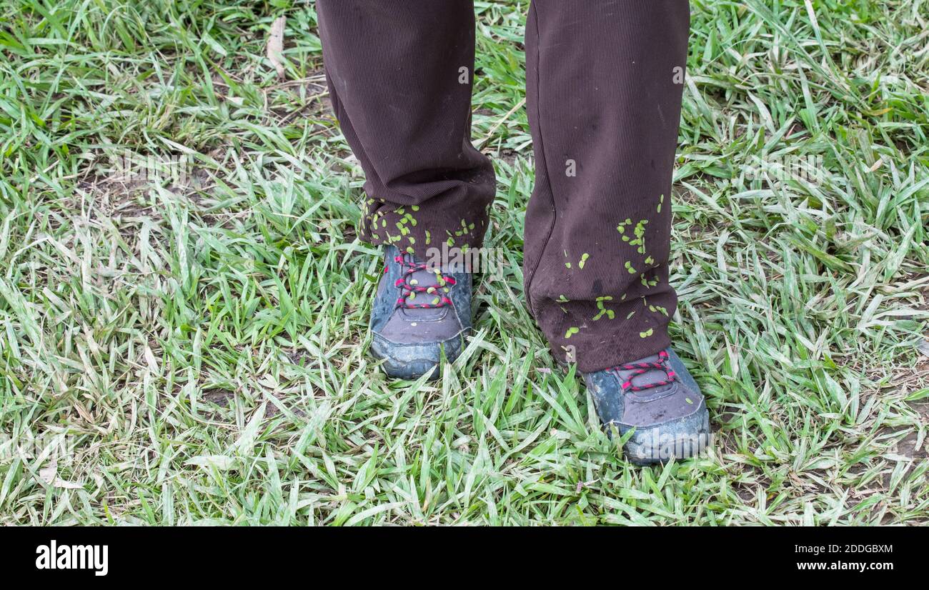 Weed and mud hi-res stock photography and images - Alamy