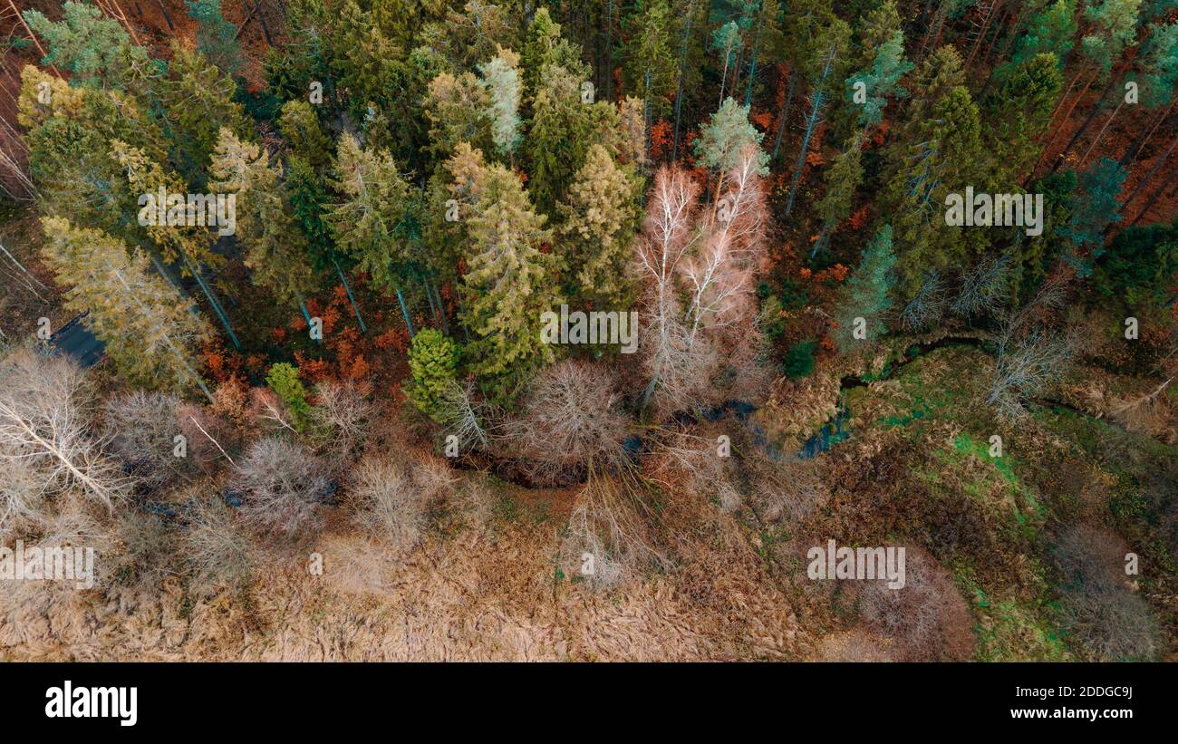 forest road view from the drone Stock Photo - Alamy