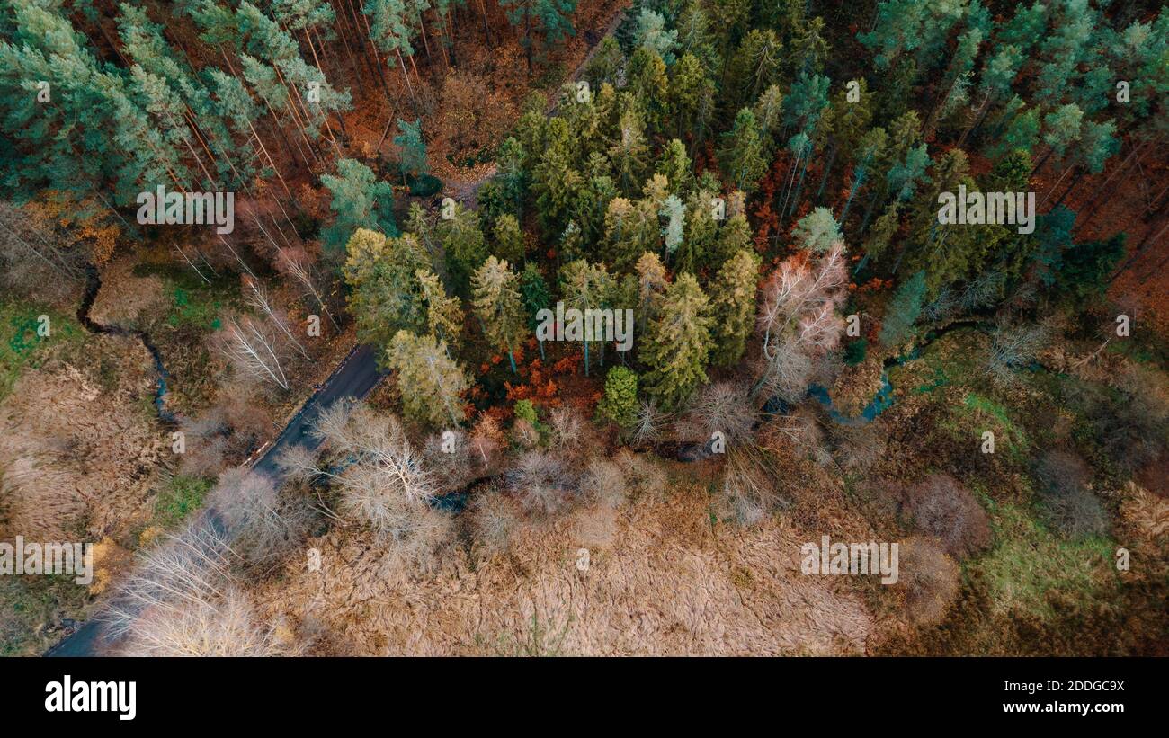 Forest road view hi-res stock photography and images - Alamy