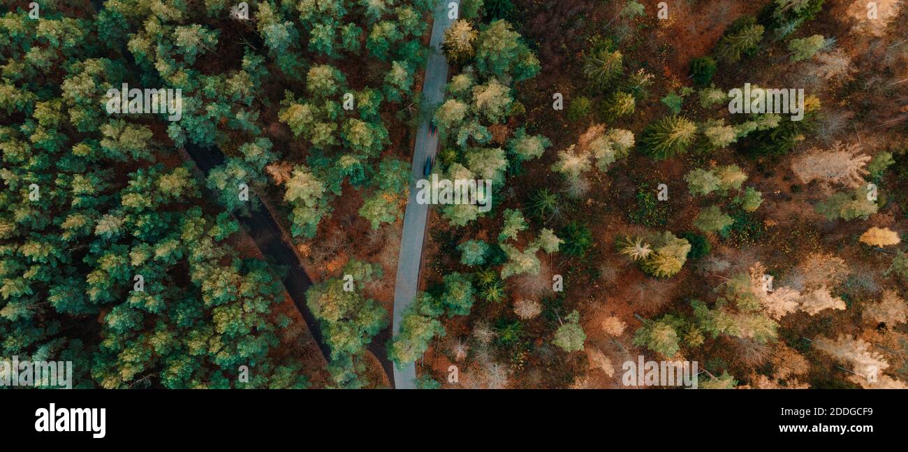 Forest road view hi-res stock photography and images - Alamy