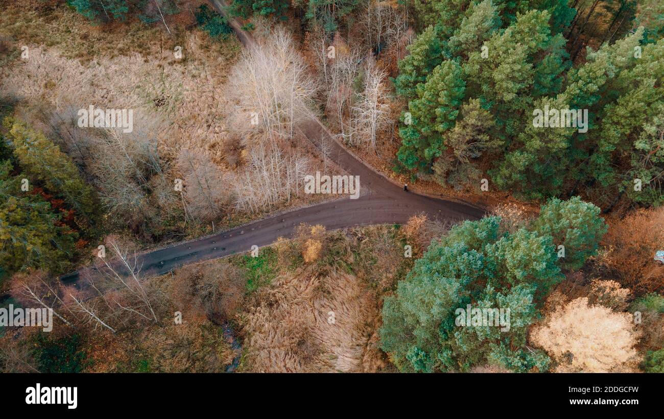 Forest road view hi-res stock photography and images - Alamy