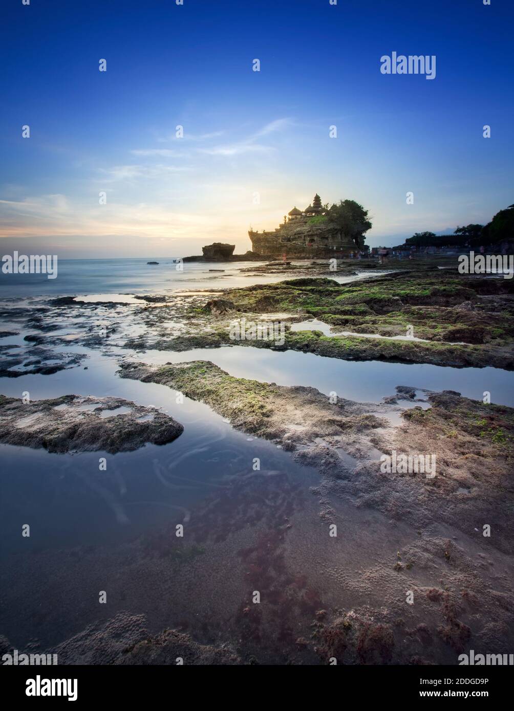 Vertical shot beautiful natural hi-res stock photography and images - Alamy