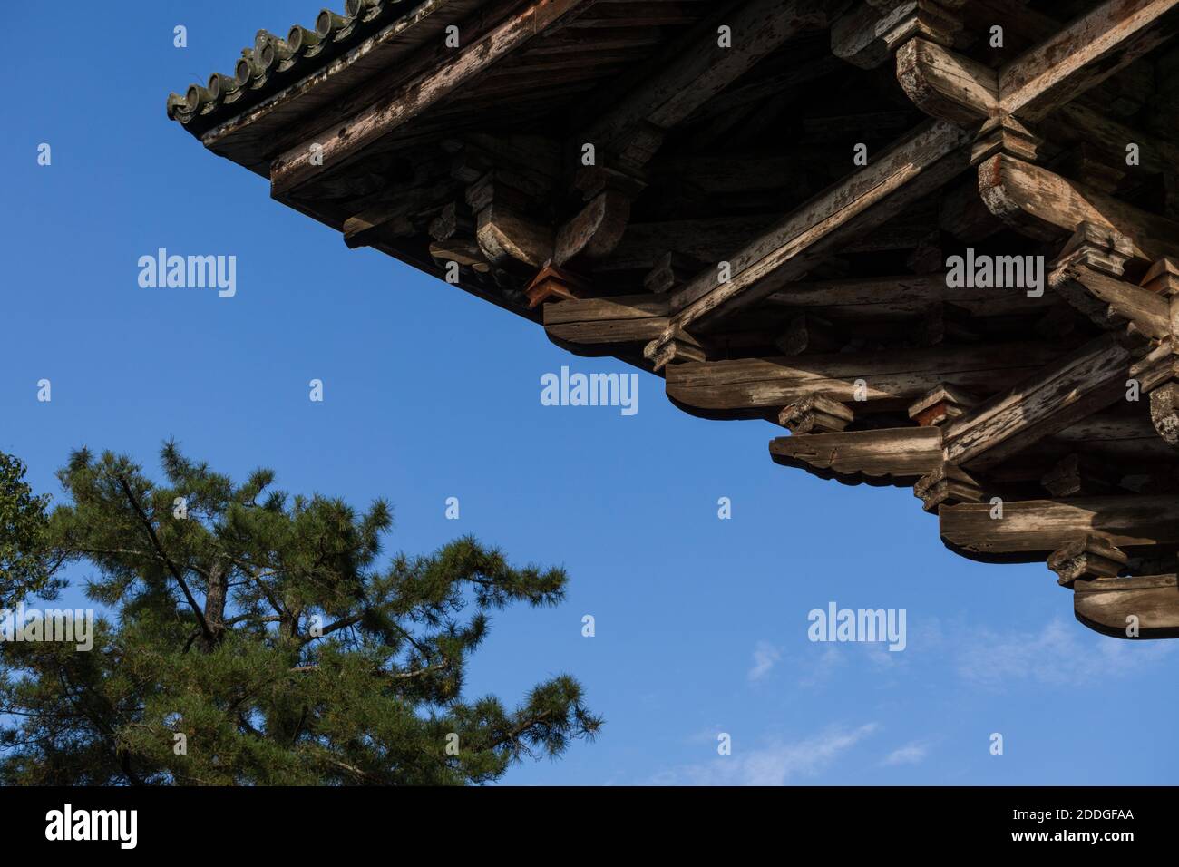 Nandai hi-res stock photography and images - Alamy