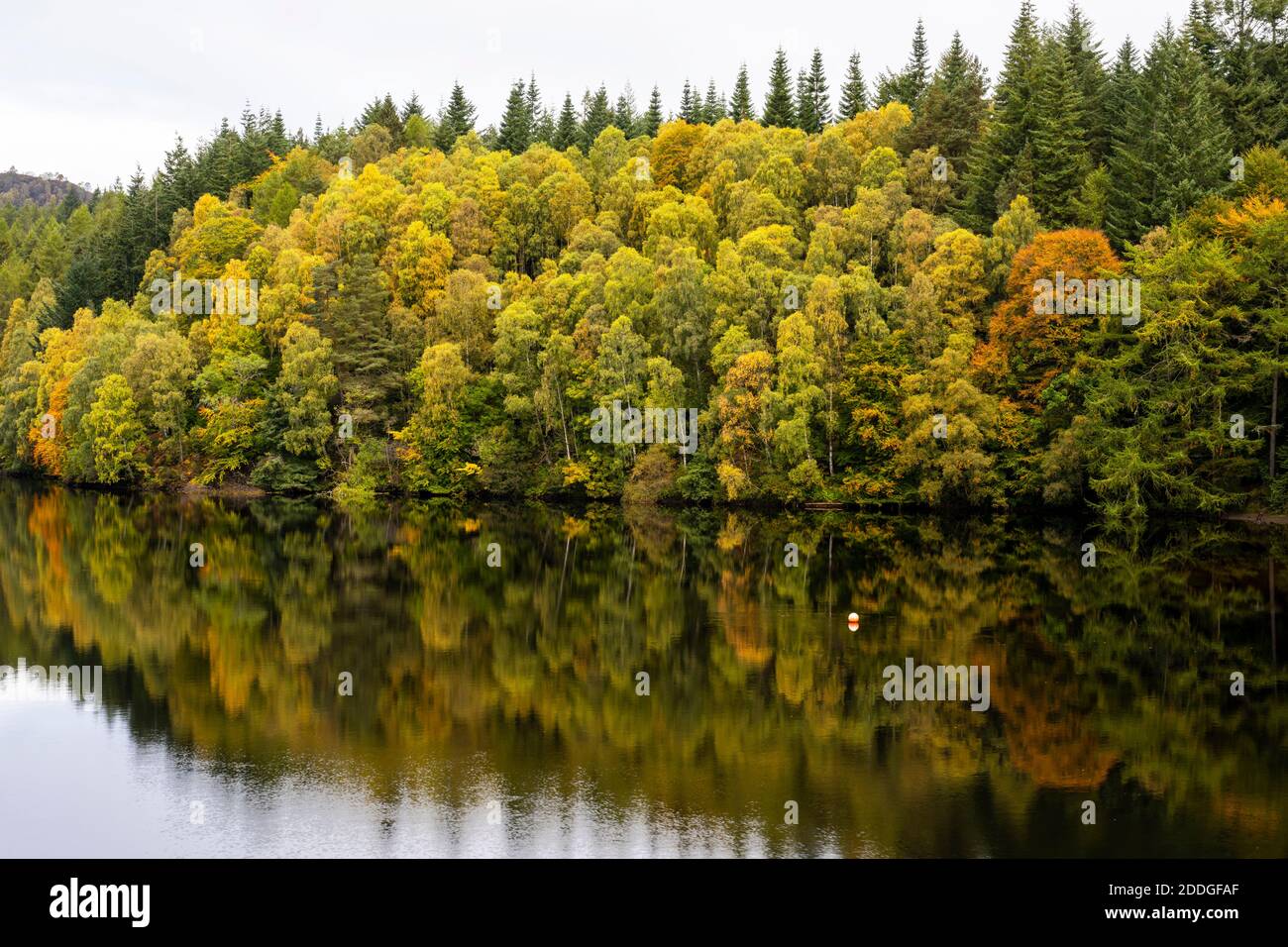 Loch faskally in autumn hi-res stock photography and images - Alamy