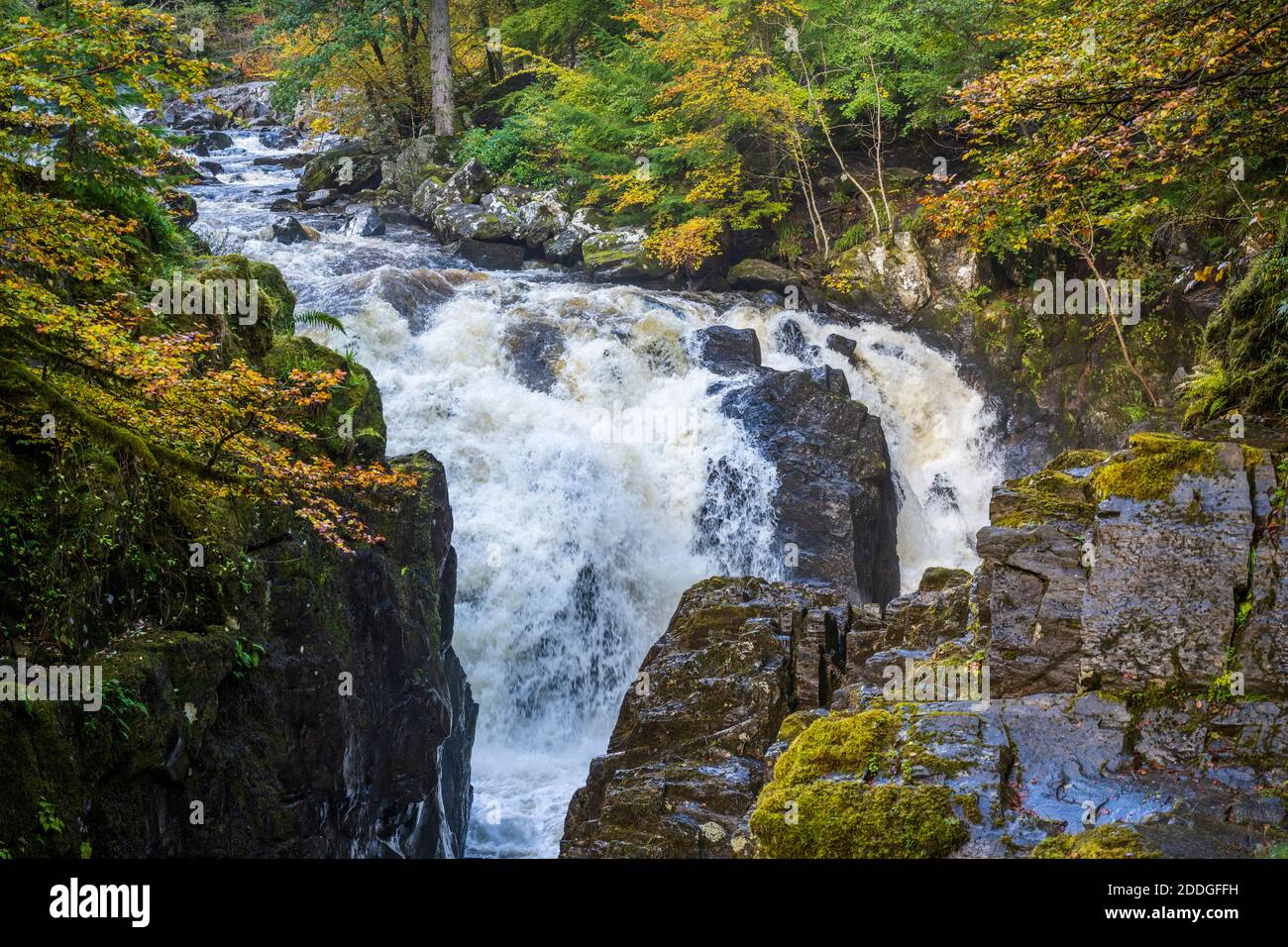 River braan black linn falls hi-res stock photography and images - Alamy